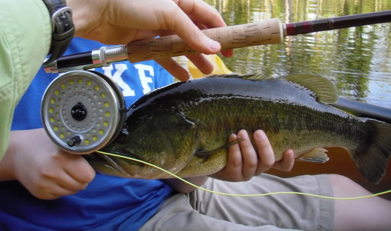 Winston Unity with the Universe Rod | Fishing with Fiberglass Fly Rods ...