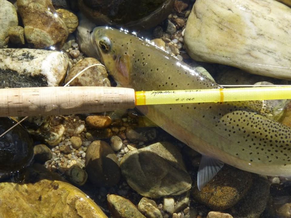 Your favorite rod and reel photo | Rod Photos | Fiberglass Flyrodders