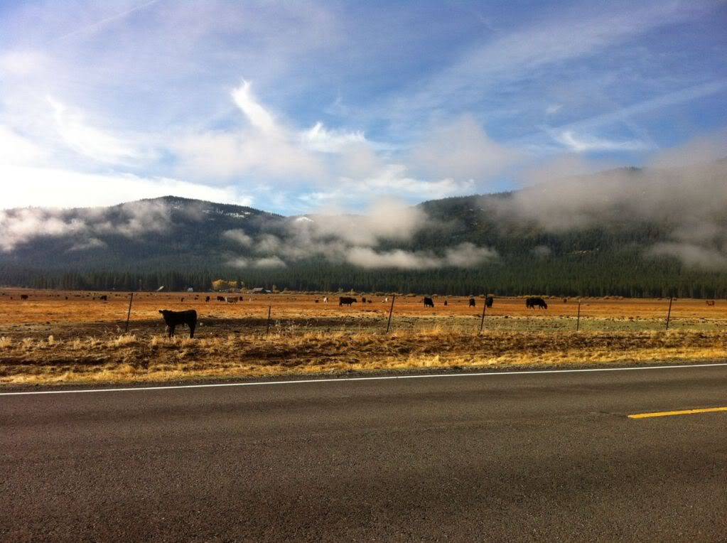 Lake Davis, California | Fishing with Fiberglass Fly Rods | Fiberglass ...