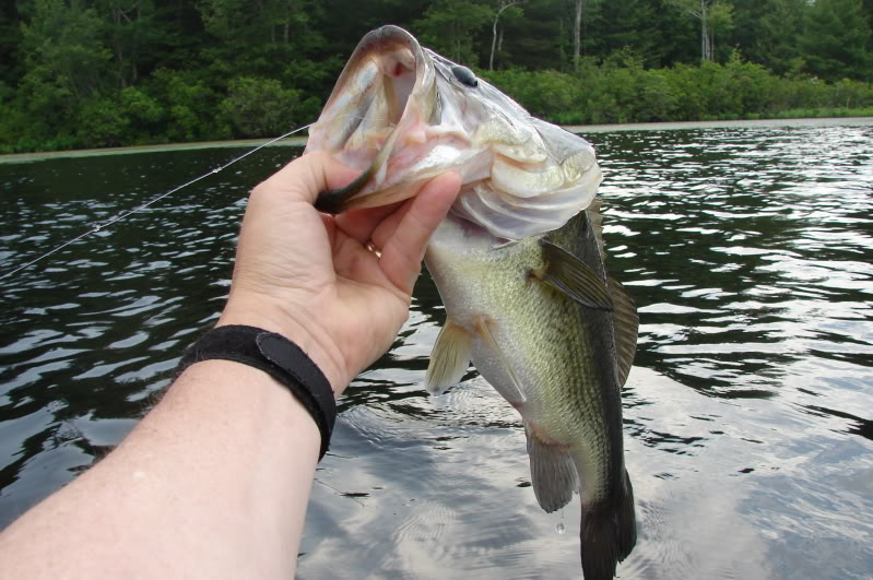 Saturday Afternoon Float Tube Bugging | Fishing with Fiberglass Fly ...