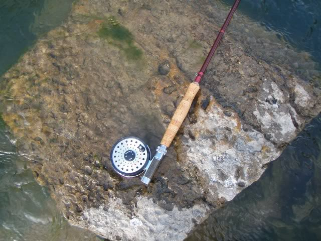 Favorite rod and reel - 2011 | Fishing with Fiberglass Fly Rods ...