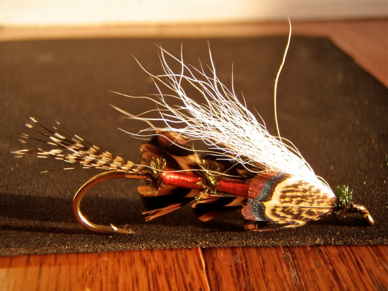 Royal Coachman Streamer | The Tying Bench | Fiberglass Flyrodders