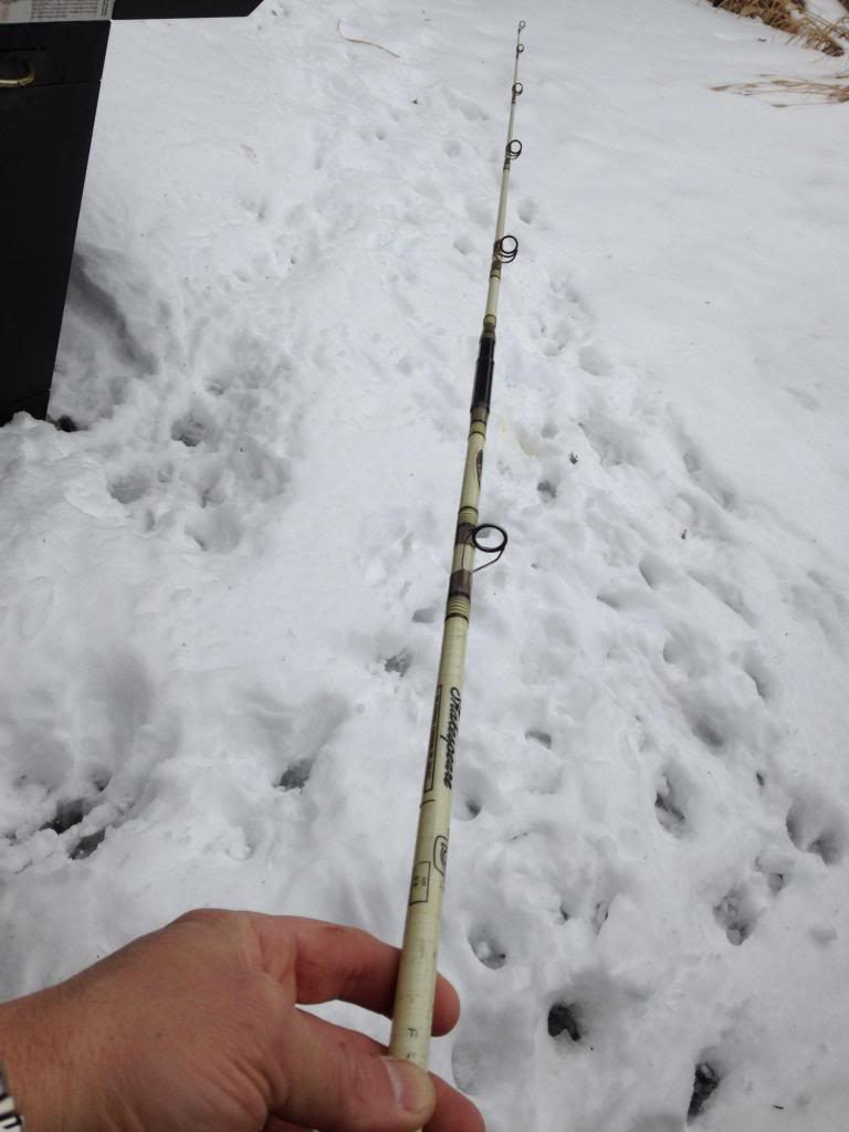 Shakespeare Wonderod Baitcaster | Another Spin on Glass | Fiberglass ...