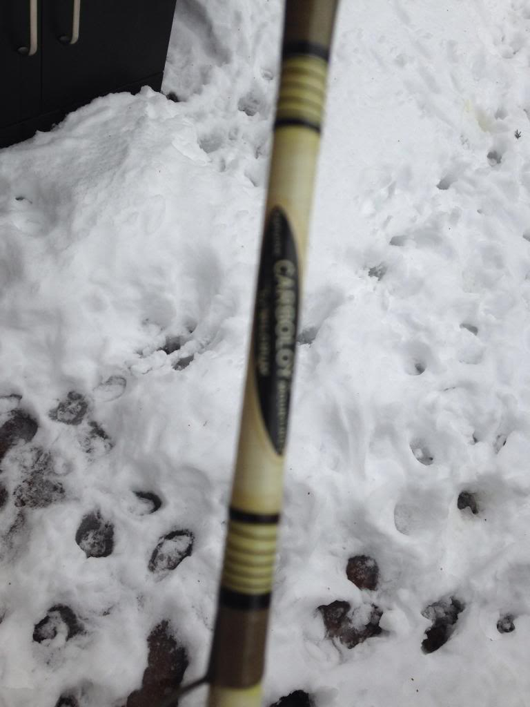 Shakespeare Wonderod Baitcaster | Another Spin on Glass | Fiberglass ...