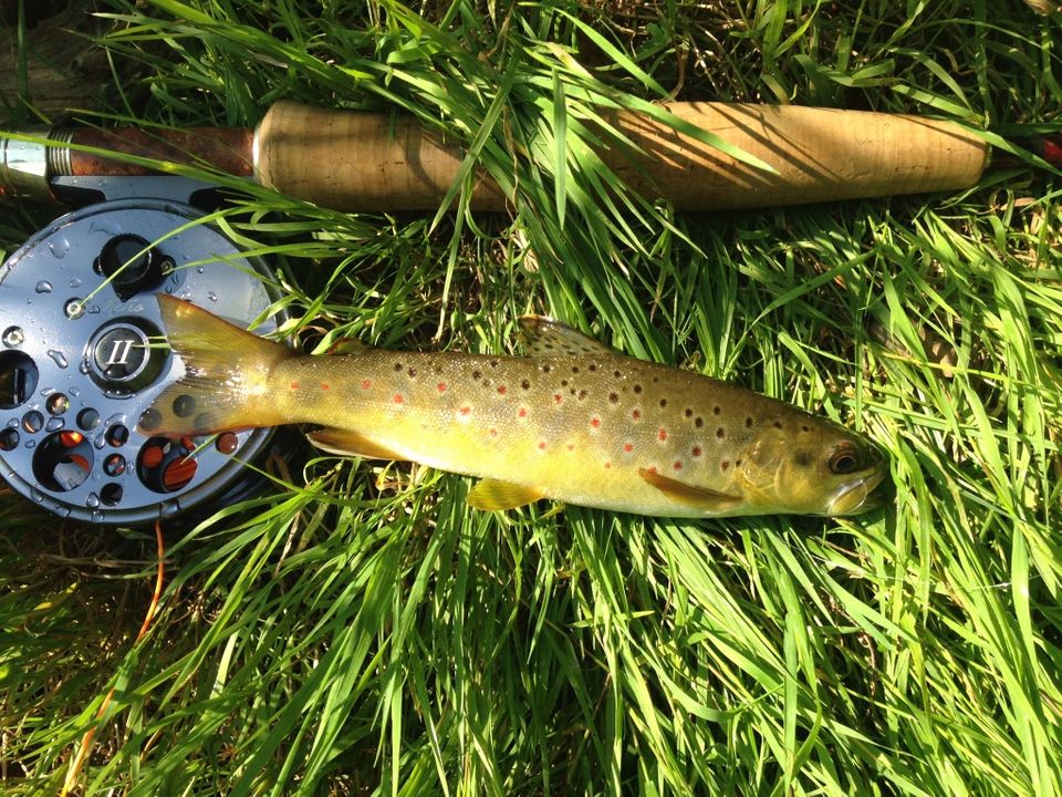 Fishing the Rush and Kinnikinnic river | Fishing with Fiberglass Fly ...