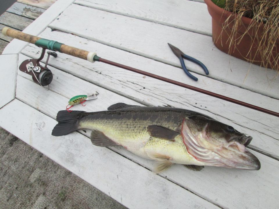 Classic Phillipson Fiberglass Mud Bug & Bass | Fishing with Fiberglass ...