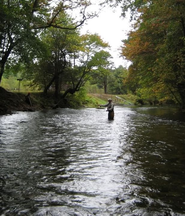 Trout On Glass - Swift River MA | Fishing with Fiberglass Fly Rods ...