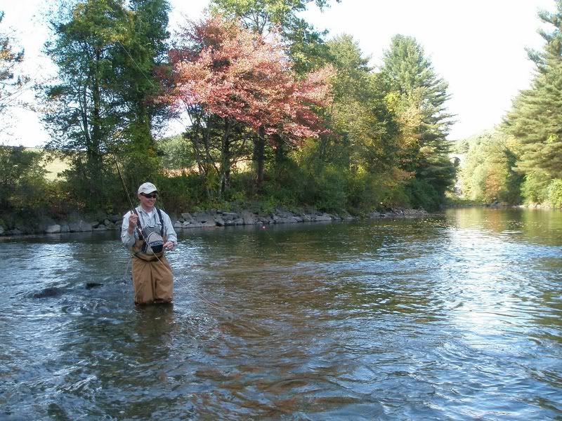 Trout On Glass - Swift River MA | Fishing with Fiberglass Fly Rods ...