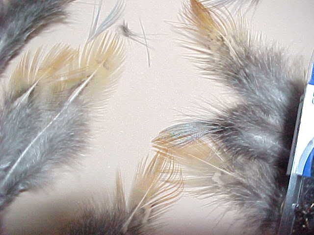 Pheasant Feather Flies | The Tying Bench | Fiberglass Flyrodders