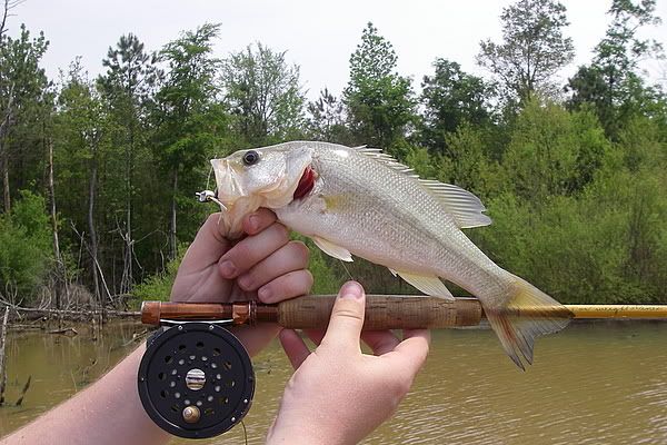 Cranberry Bog Pond Fishing-New Pics Added | Fishing with Fiberglass Fly ...