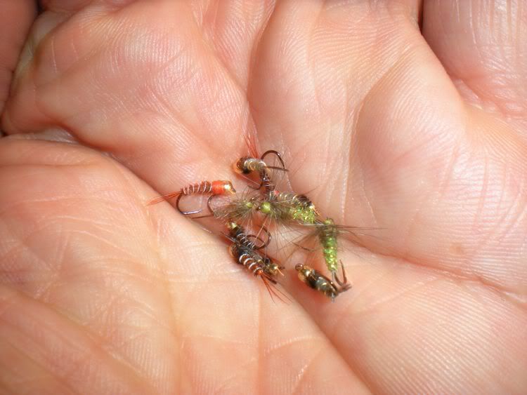 Flyfishing afternoon in Switzerland | Fishing with Fiberglass Fly Rods ...