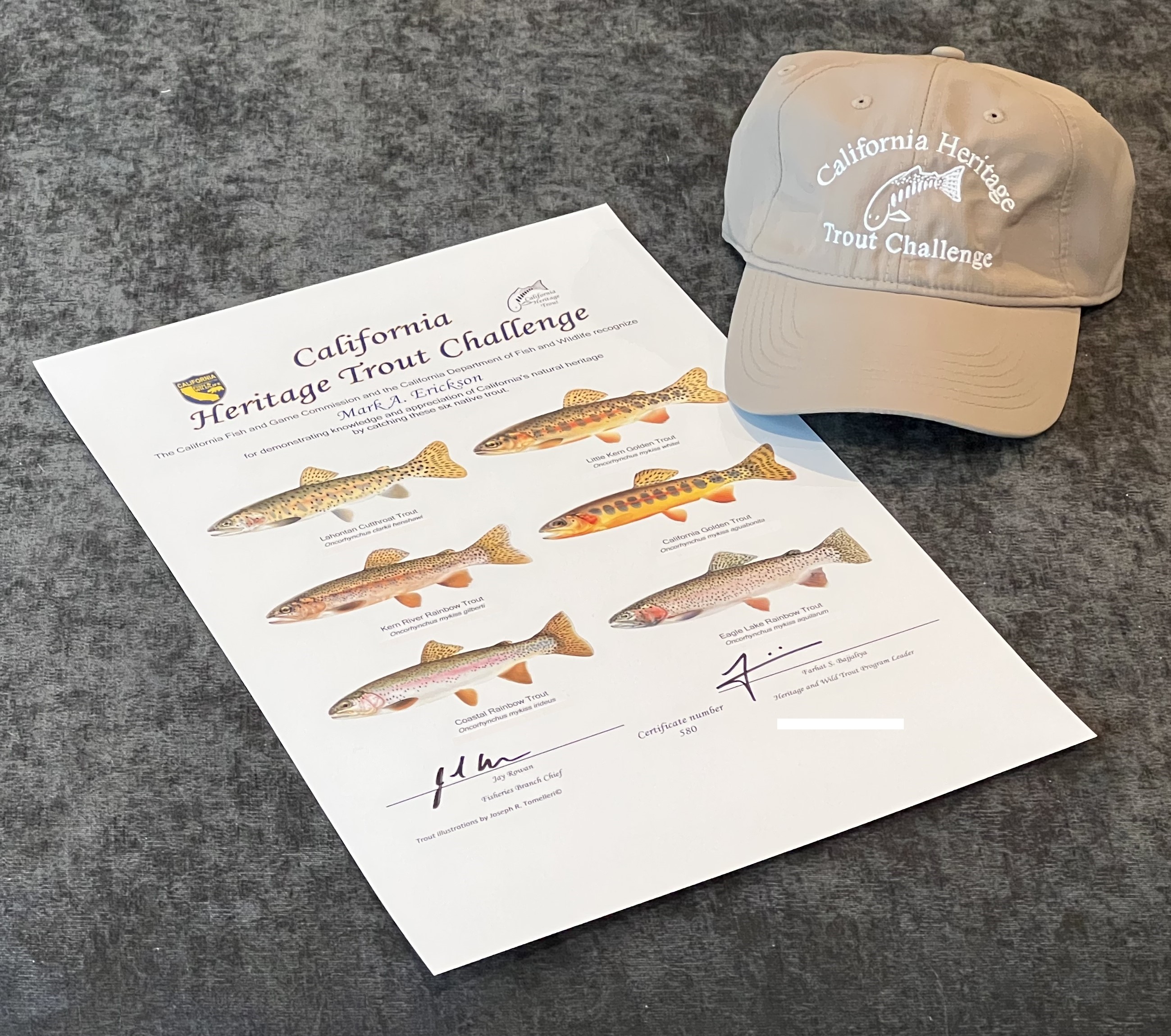 California Heritage Trout - Collect 'em All! | Fishing with Fiberglass ...