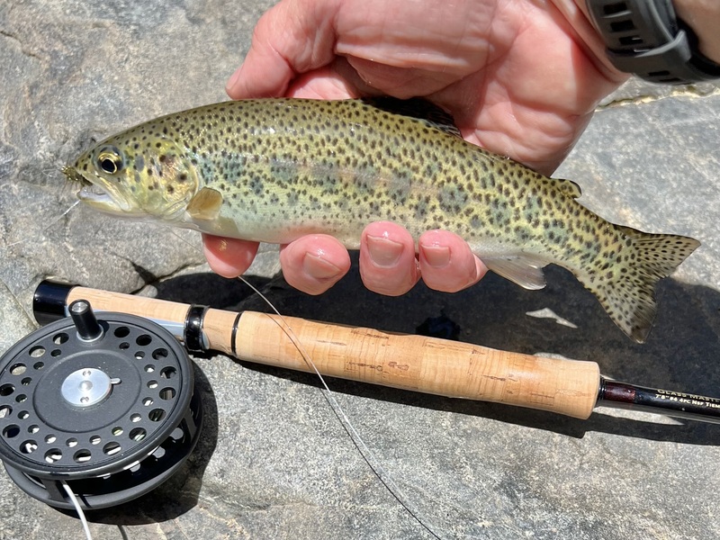 Christened my Tiemco Glassmaster/Oracle rig in the Sierra | Fishing ...