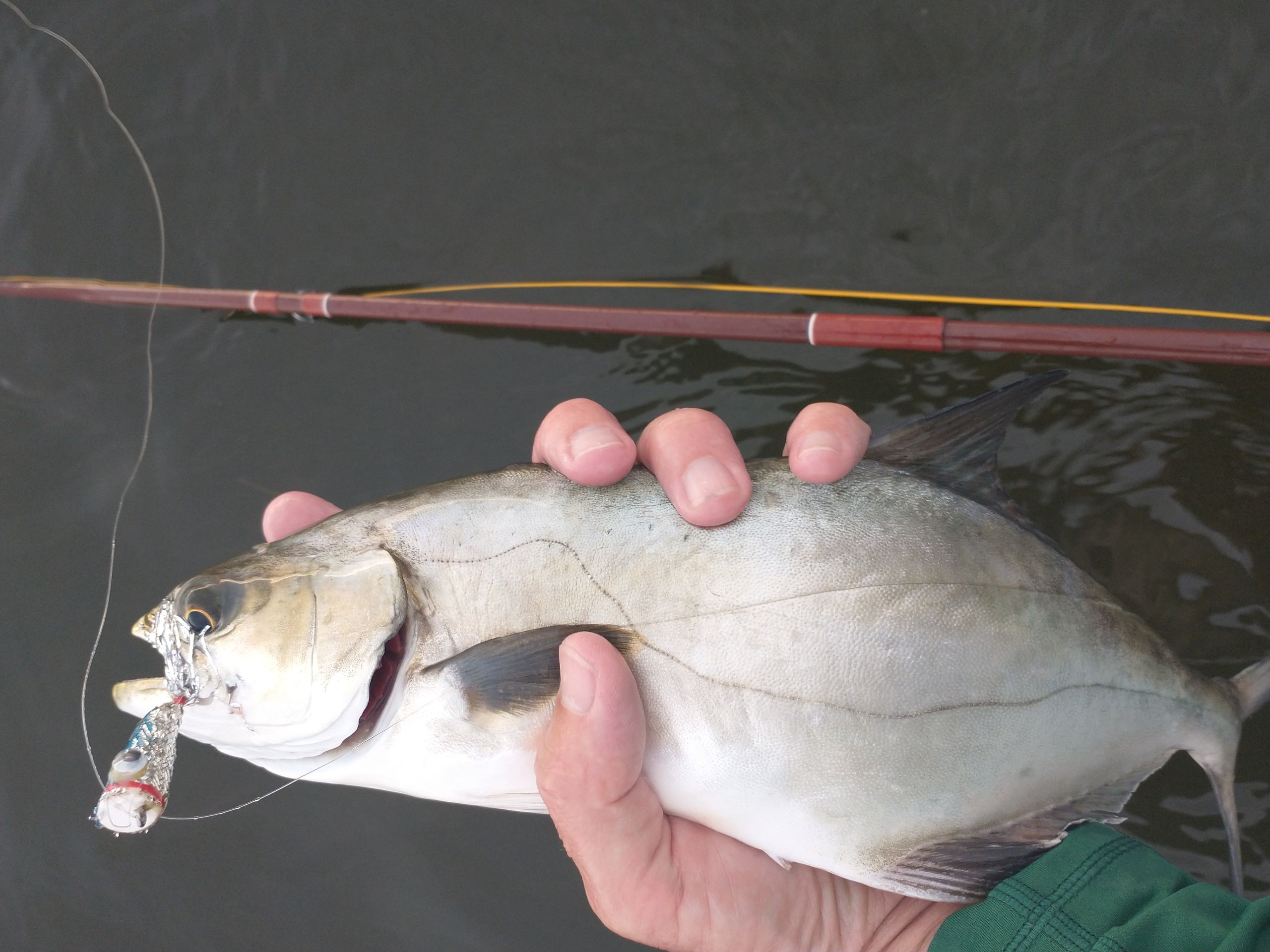 Garrick on Glass- The South African Way | Fishing with Fiberglass Fly ...