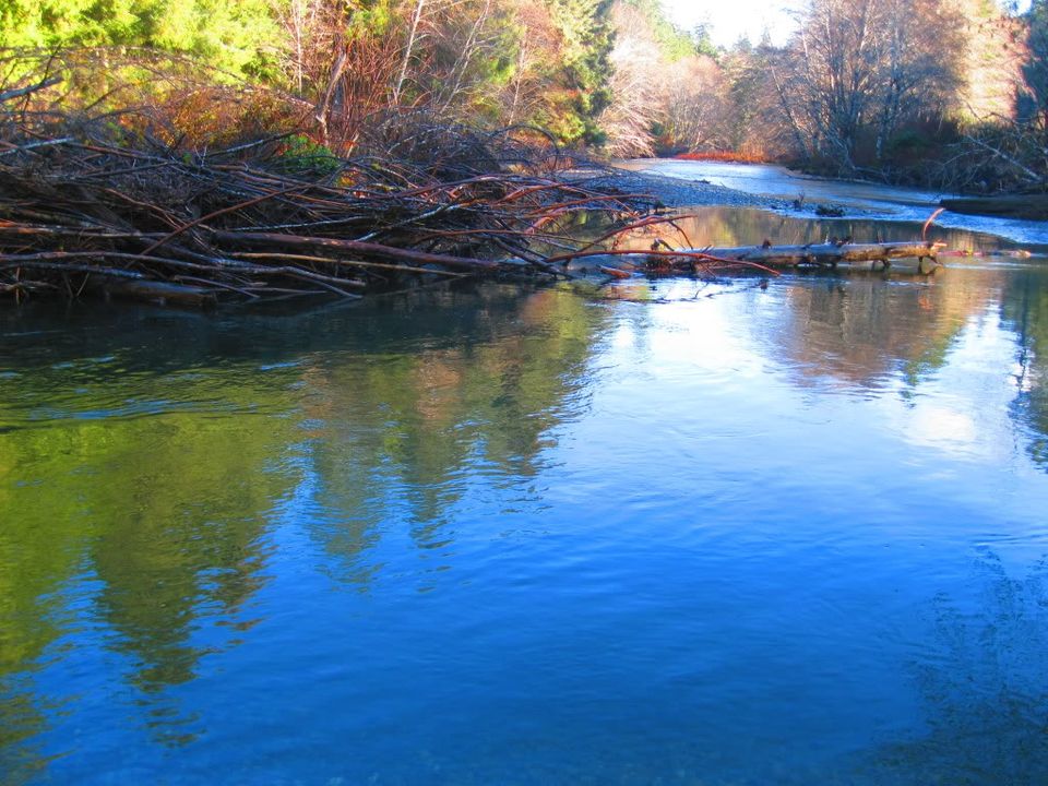 Sekiu River, WA | Fishing with Fiberglass Fly Rods | Fiberglass Flyrodders