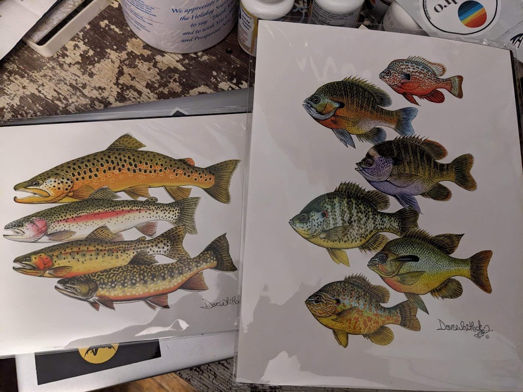 Goodbye to Dave Whitlock and Thanks for the Memories..... | Welcome ...