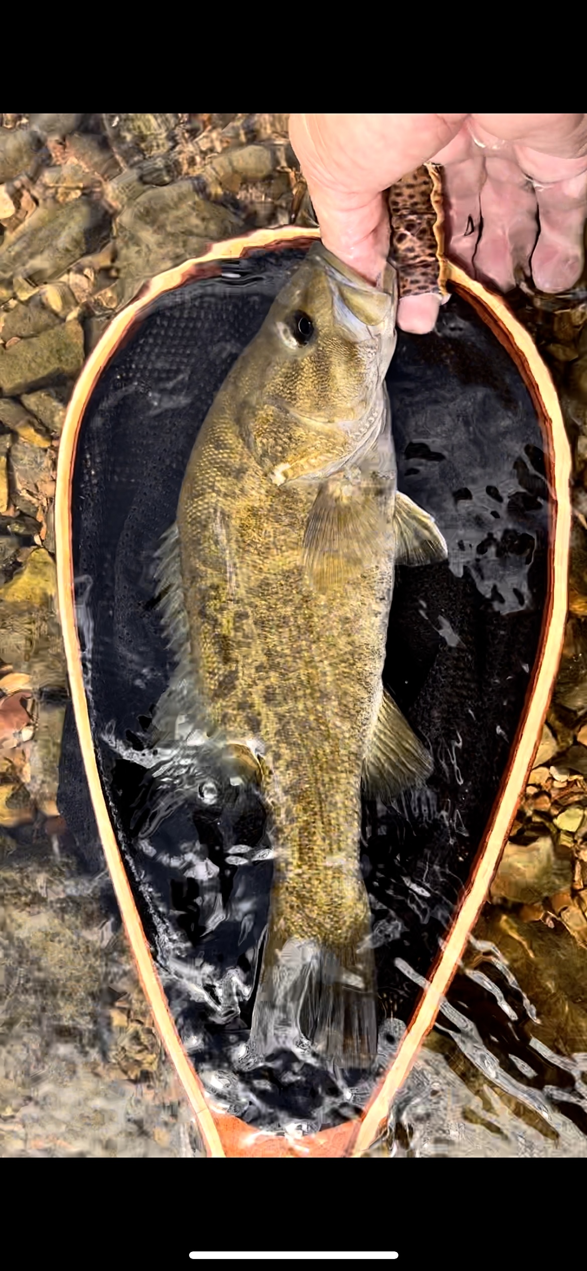 Ned rig worm fly pattern | The Tying Bench | Fiberglass Flyrodders