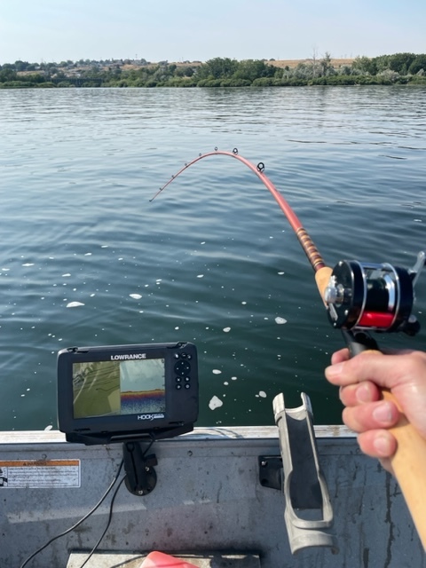 Reel 'Collecting' - Fishing Rods, Reels, Line, and Knots - Bass Fishing ...
