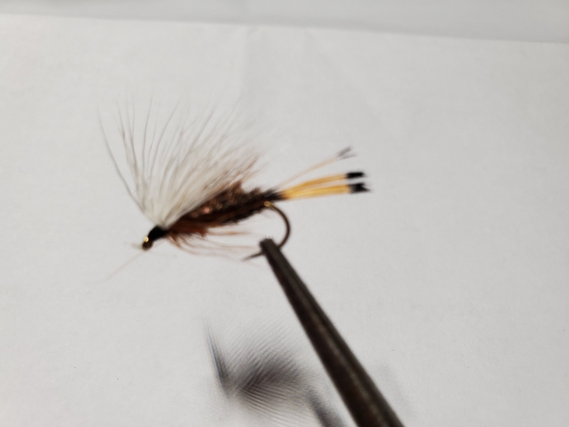Western Coachman | The Tying Bench | Fiberglass Flyrodders