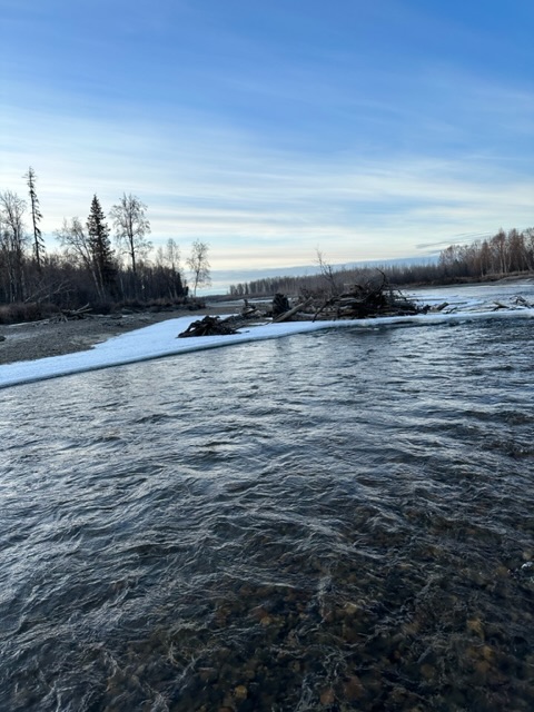 Commando integrated smooth skagit line | Fishing with Fiberglass Fly ...